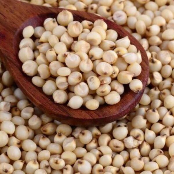 Buy Sorghum Millet/Jowar/Cholam 400g Online | PepperHub
